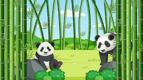 Life Cycle of Panda Animation | Stock Video | Pond5