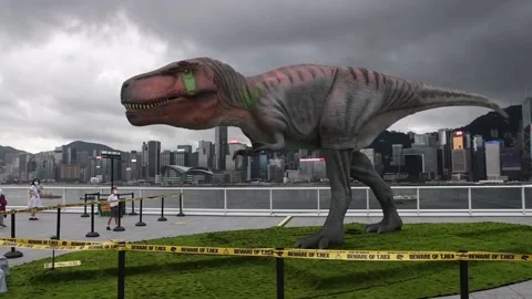 Life-size robotic T-Rex put on display t... | Stock Video | Pond5