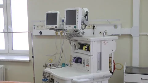 Life In Life Stock Videos – Royalty-Free HD & 4K Videos | Pond5