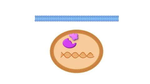 Cell Membrane Logo