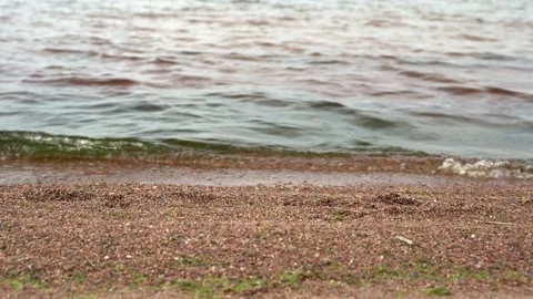 Cool Surf Stock Videos – Royalty-Free HD & 4K Videos | Pond5