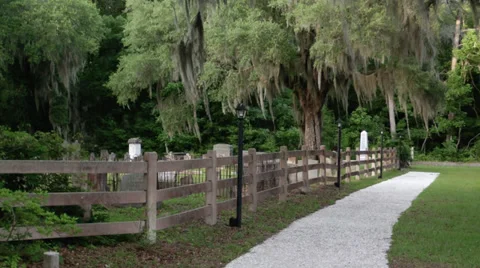 light posts spanish moss oak tree sidewa... | Stock Video | Pond5