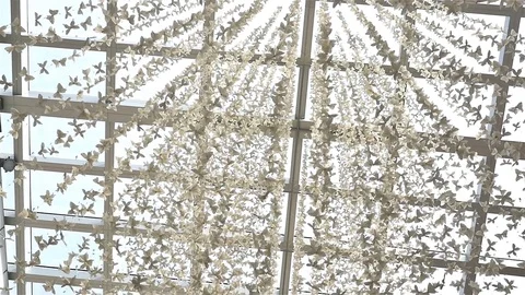 Asian Butterfly Art Stock Videos – Royalty-Free HD & 4K Videos