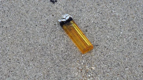 Plastic Beach Live Stock Videos – Royalty-Free HD & 4K Videos