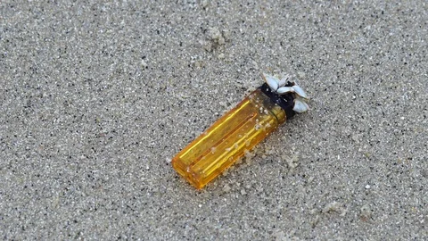 Plastic Beach Live Stock Videos – Royalty-Free HD & 4K Videos