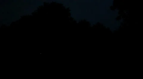 Lightning Bugs Stock Videos – Royalty-Free HD & 4K Videos | Pond5