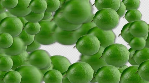 Lime transition animation With Alpha Cha... | Stock Video | Pond5