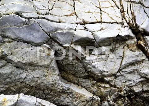 Limestone rock texture Stock Image ~ Royalty Free #12302421
