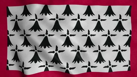 Limousin flag, France, waving in the win... | Stock Video | Pond5