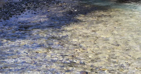 Limpid Stock Footage ~ Royalty Free Stock Videos | Pond5