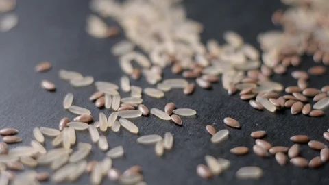 Lin seeds and rice falling slow motion | Stock Video | Pond5