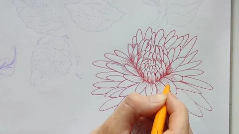 Line art red flower speed paint artist d... | Stock Video | Pond5