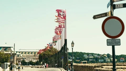 A line of flags flying in the wind near ... | Stock Video | Pond5