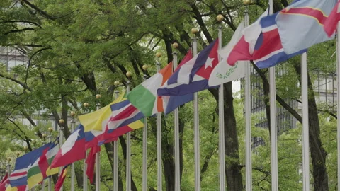Line of national flags waving in front o... | Stock Video | Pond5