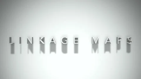 Linkage Animation Stock Video Footage | Royalty Free Linkage Animation ...