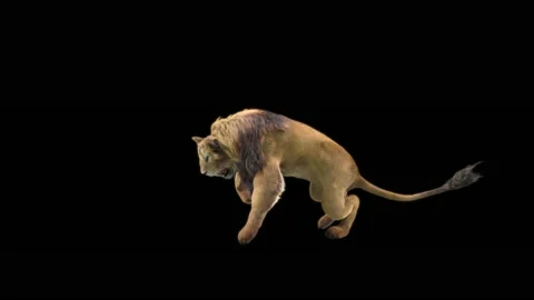 lion, with Alpha Matte | Stock Video | Pond5