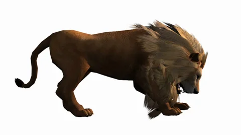 Lion attack bite eating,Endangered wild ... | Stock Video | Pond5