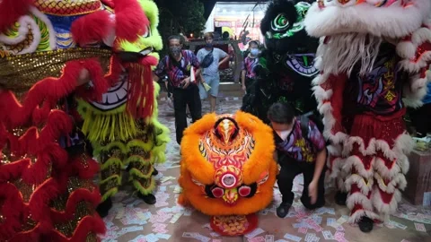 Dance Cal Stock Videos – Royalty-Free HD & 4K Videos