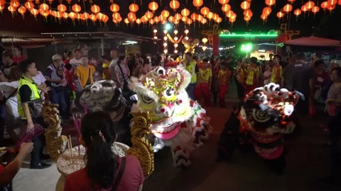 Lion dance perform at snake temple at ni... | Stock Video | Pond5