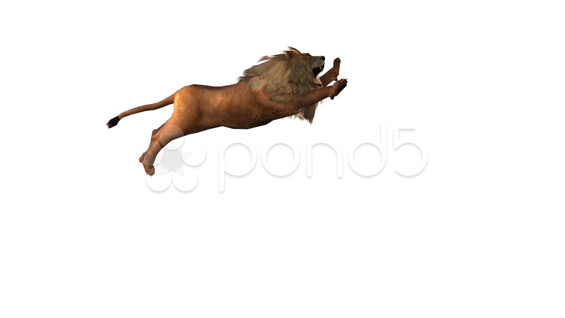 Lion Leaping On Baseball
