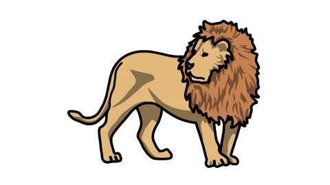 lion on white background Sketch and 2d a... | Stock Video | Pond5