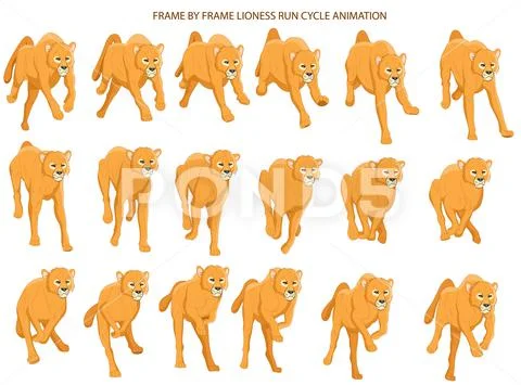 Lioness Vector Illustration, with Frame by Frame Animation ~ Clip Art ...