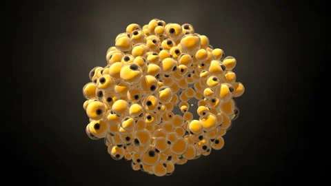 Lipid cells from fat tissue, animation | Stock Video | Pond5