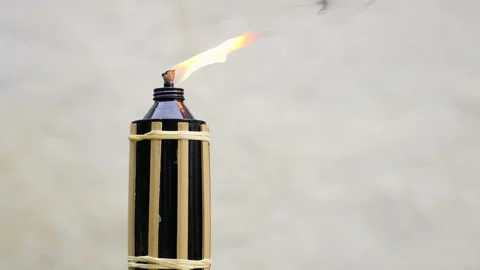 Liquid Fuel Bamboo Torch Burning, nature... | Stock Video | Pond5
