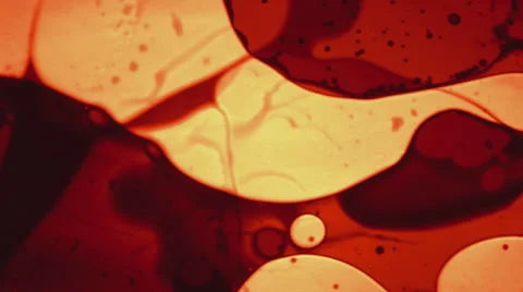 Psychedelic Loop Stock Video Footage | Royalty Free Psychedelic Loop Videos | Pond5