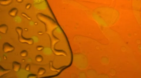 Psychedelic Loop Stock Video Footage | Royalty Free Psychedelic Loop Videos | Pond5