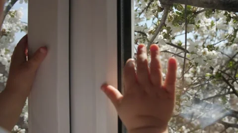 Little baby's hands touch the window gla... | Stock Video | Pond5
