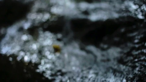 Bit Crossing Stock Videos – Royalty-Free HD & 4K Videos | Pond5