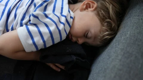 Little boy asleep on couch child napping... | Stock Video | Pond5