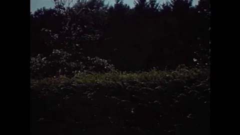 American School Boys Stock Videos – Royalty-Free HD & 4K Videos | Page 5