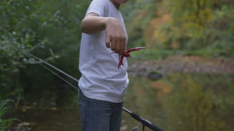 Crawdads Stock Footage ~ Royalty Free Stock Videos | Pond5