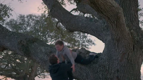 Little Boy Jumps To Dad From Tree | Stock Video | Pond5