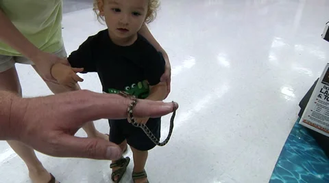 Man Boy Snake Stock Videos – Royalty-Free HD & 4K Videos