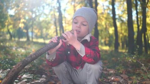 little boy is playing with a tree branch... | Stock Video | Pond5