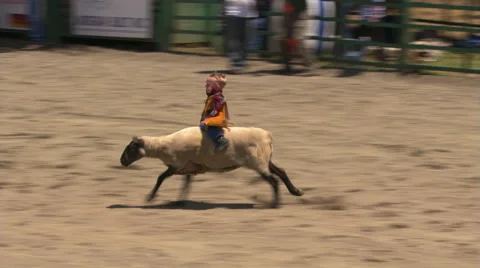 Little boy riding a running sheep in a k... | Stock Video | Pond5