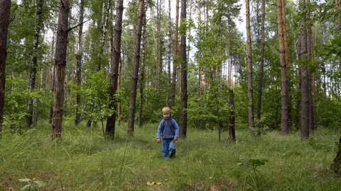 Little Boy Running Alone in the Forest. ... | Stock Video | Pond5