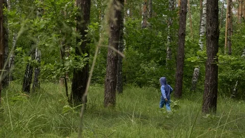 Little Boy Running Alone in the Forest. ... | Stock Video | Pond5