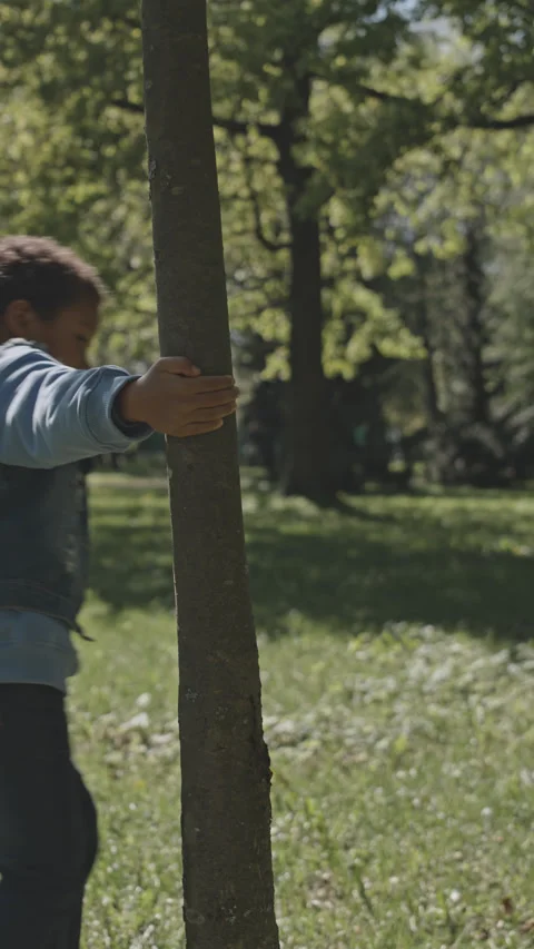 Running Around Tree Stock Footage ~ Royalty Free Stock Videos | Pond5