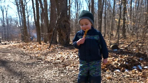 A little boy sharing a maple syrup treat... | Stock Video | Pond5