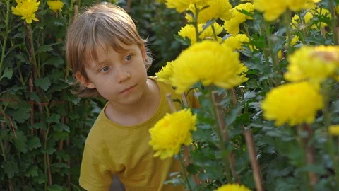 Little People Lots Stock Videos – Royalty-Free HD & 4K Videos