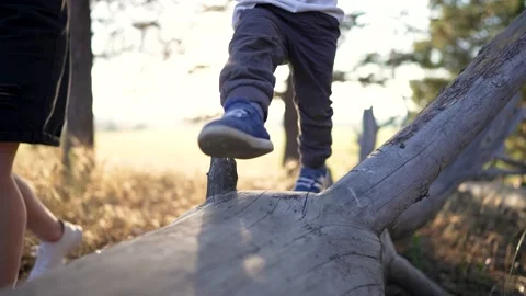 Little boy walk on log in park. child on... | Stock Video | Pond5
