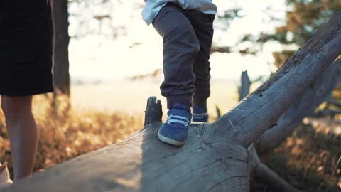 Little boy walk on log in park. child on... | Stock Video | Pond5