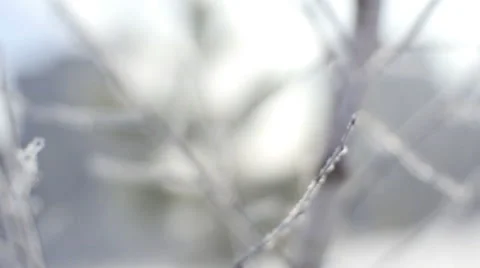 New Dolly Little Stock Videos – Royalty-Free HD & 4K Videos