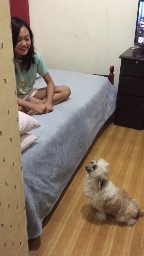 Little Girls Peeing Stock Videos – Royalty-Free HD & 4K Videos | Pond5