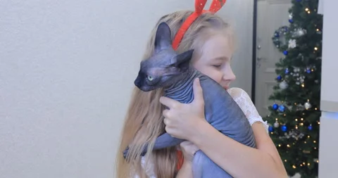 Hairless Cat Girl Stock Videos – Royalty-Free HD & 4K Videos