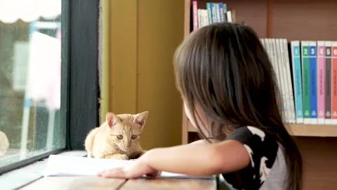 Girl Doing Homework Stock Videos – Royalty-Free HD & 4K Videos